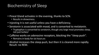 The Science of Sleep | PPTX