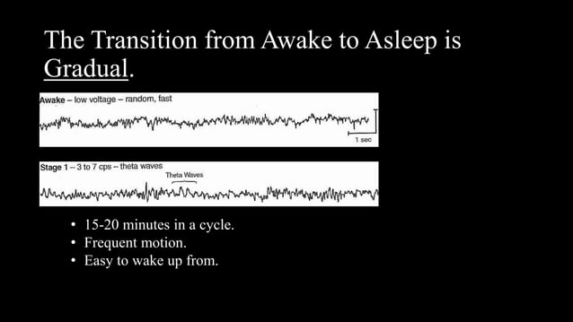 The Science of Sleep | PPTX