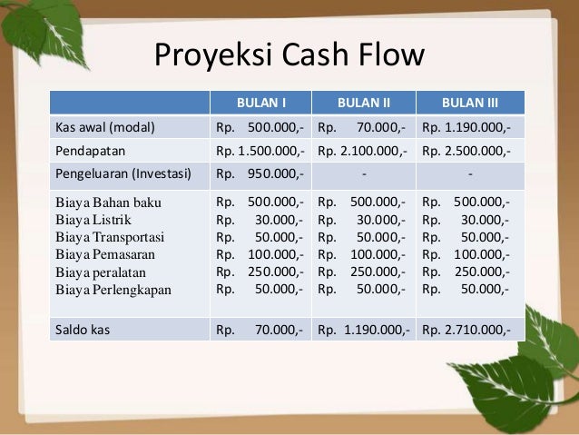 Business Plan (Mr. Citrullus)