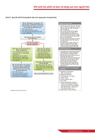 Hồi sinh tìm phổi | PDF