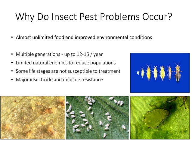 Intro to High Tunnel Insect Pests and Natural Enemies, 2015 | PPT