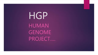 Hgp | PPT