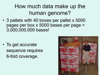 HGP.ppt | Genetics | Science
