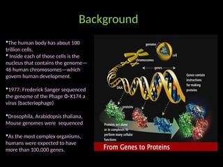 HGP human genome project. bioinformaticspptx | PPTX