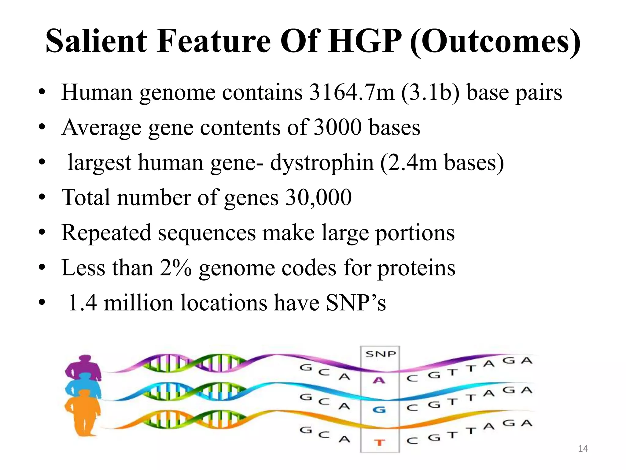 human genome project by varaprasad | PPTX