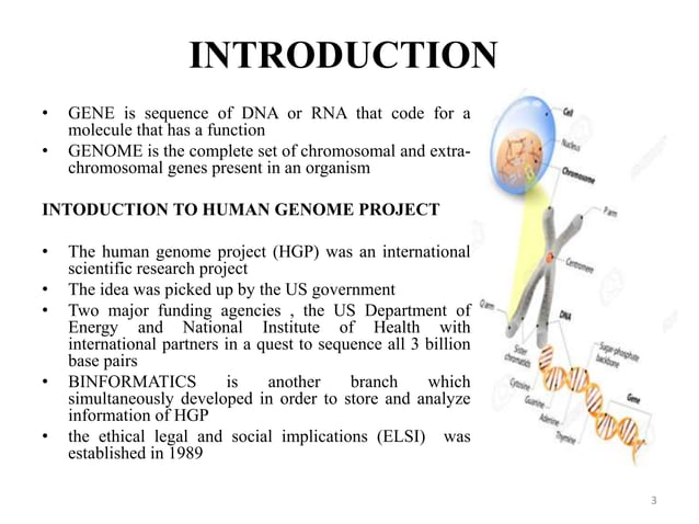 human genome project by varaprasad | PPTX