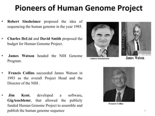 human genome project by varaprasad | PPTX