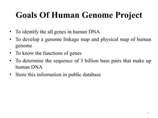 human genome project by varaprasad | PPTX