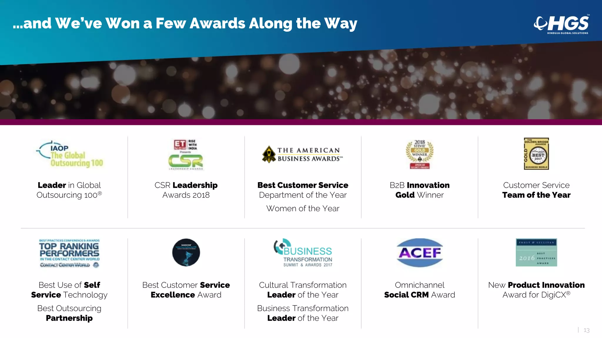 HGS Company Overview | PDF