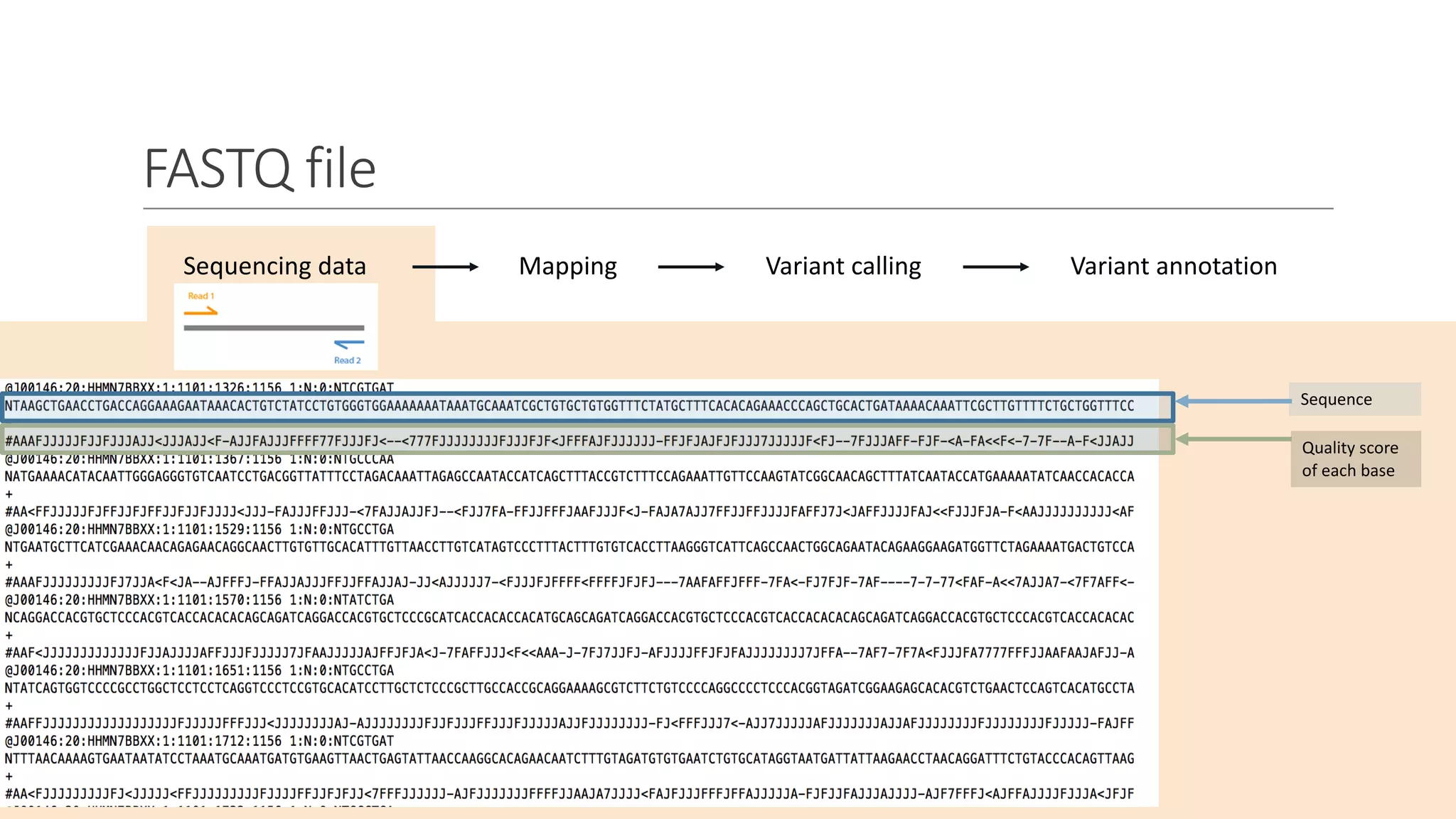 Exome sequence analysis | PDF