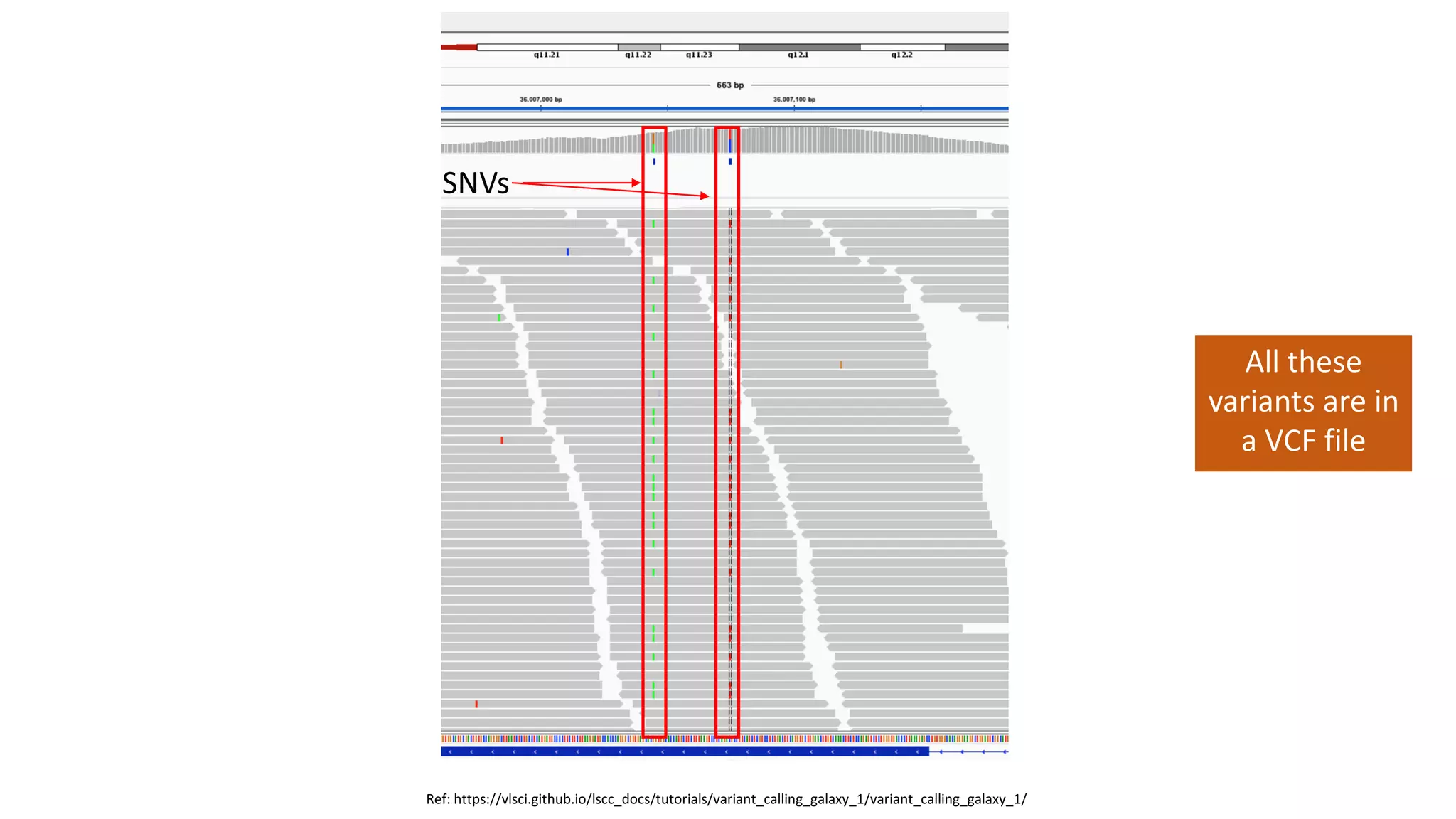 Exome sequence analysis | PDF