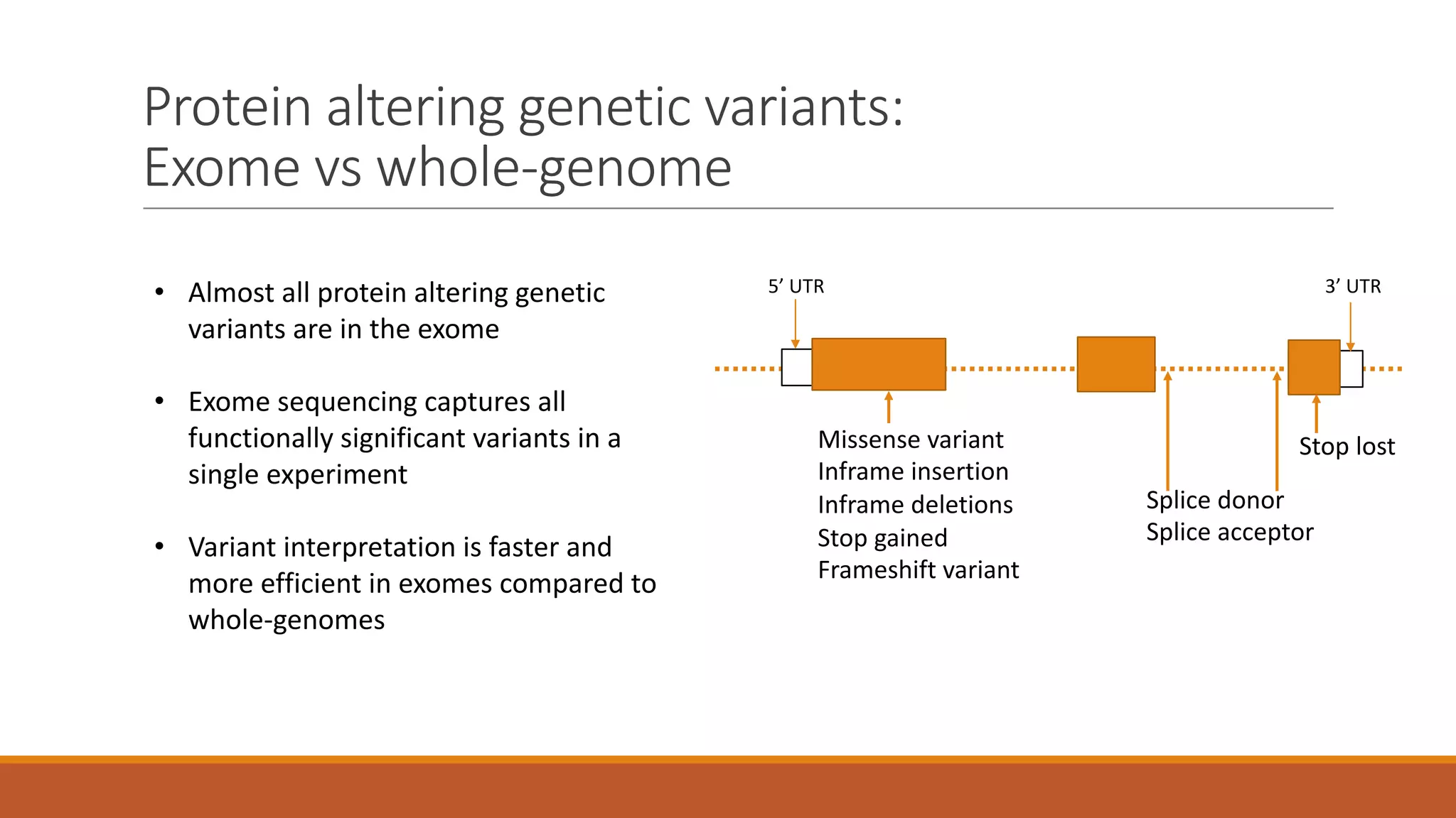 Exome sequence analysis | PDF