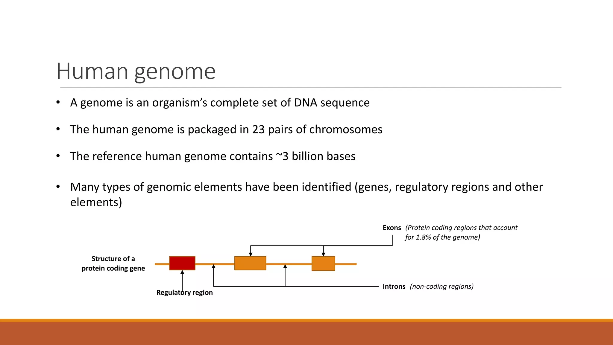 Exome sequence analysis | PDF