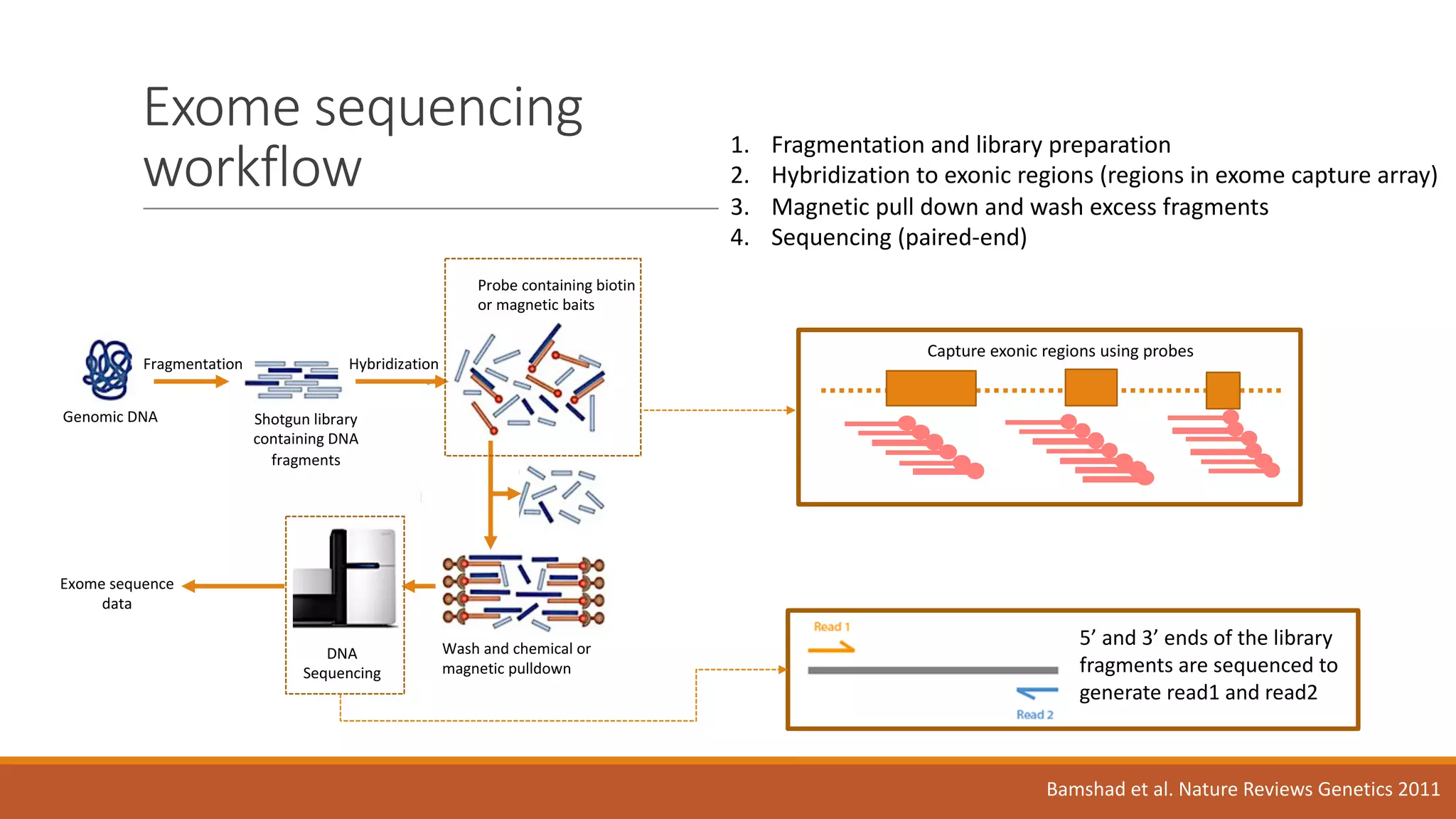 Exome sequence analysis | PDF