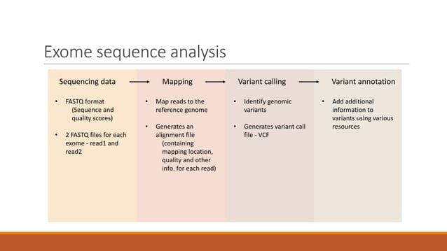 Exome sequence analysis | PDF