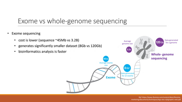 Exome sequence analysis | PDF