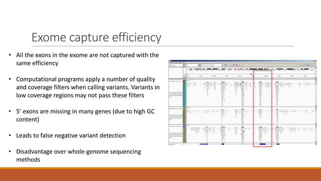 Exome sequence analysis | PDF