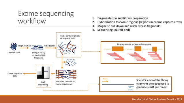 Exome sequence analysis | PDF