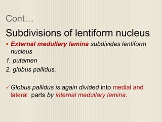 Basal ganglai | PPTX
