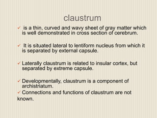 Basal ganglai | PPTX