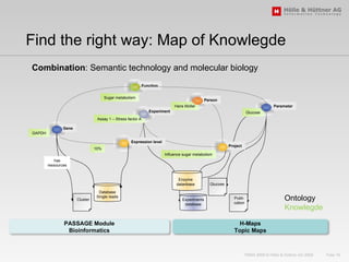 H-Maps: An Efficient Approach for Graphical Visualization and ...