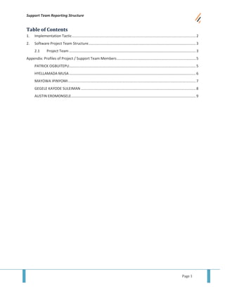 Project Team Structure | PDF