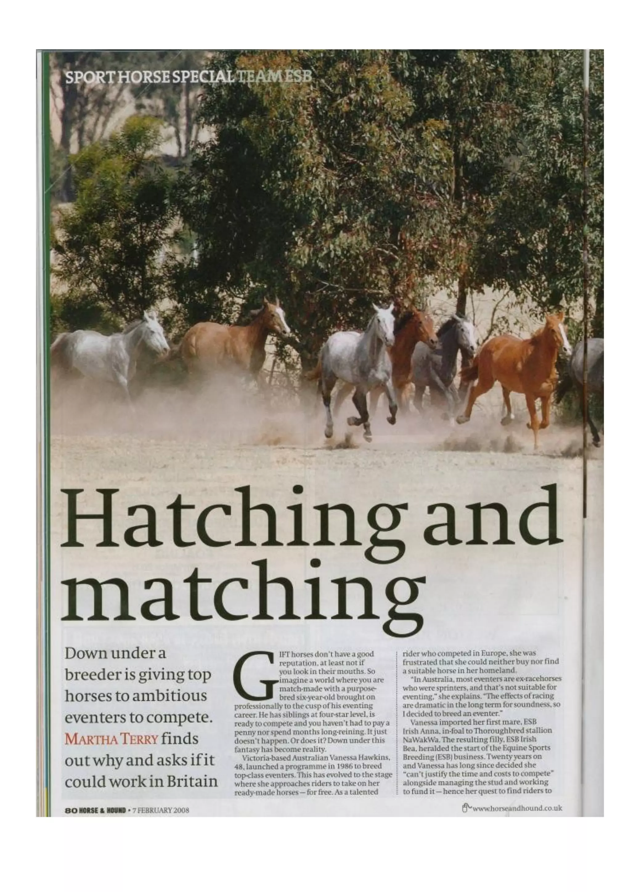 H&h compressed article | PDF