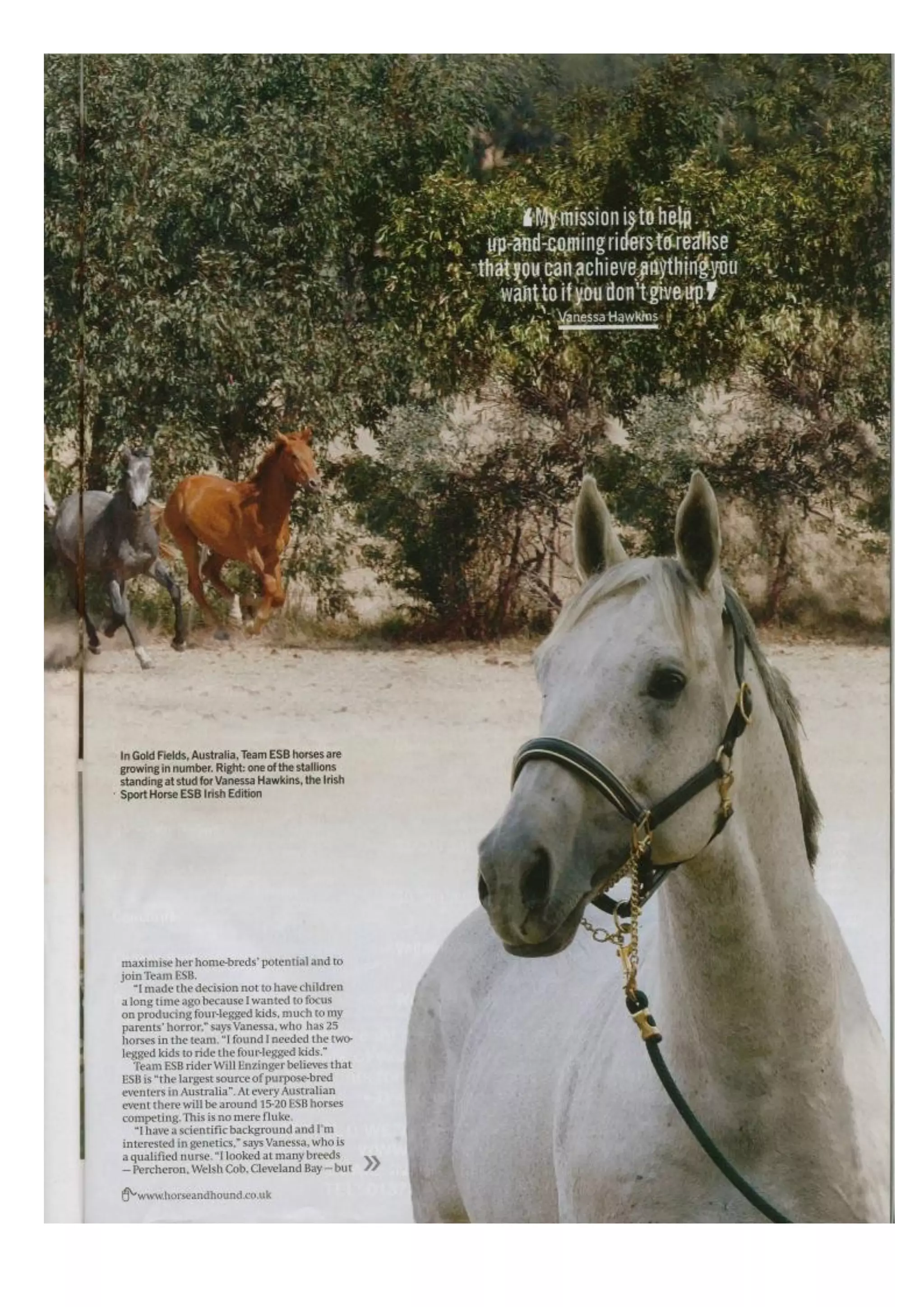 H&h compressed article | PDF