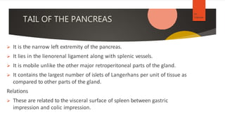 hHFDDgc1HH3CoRip655.pptx