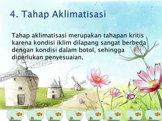 IPA BIOLOGI "KULTUR JARINGAN" | PPTX