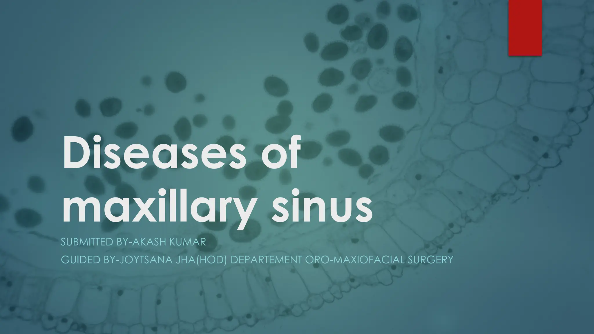 space infection of maxillary sinus chronic and acute | PPTX