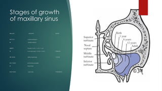 space infection of maxillary sinus chronic and acute | PPTX