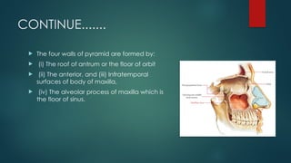 space infection of maxillary sinus chronic and acute | PPTX