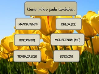 4.Mineral_Nutrisi_(Kelompok_8)-4.Mineral_Nutrisi_(Kelompok_8).pptx