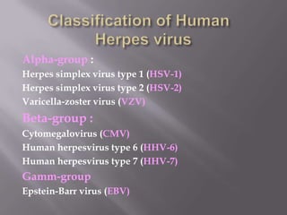 Human Herpes viruses | PPTX