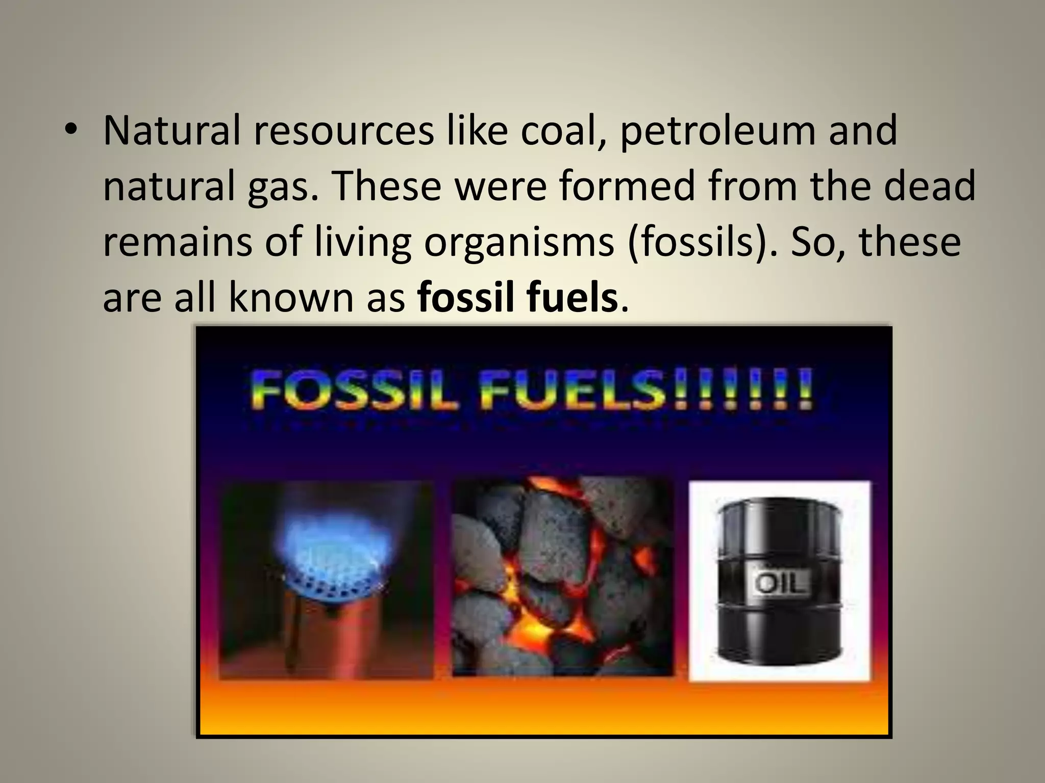 Coal and petroleum | PPTX