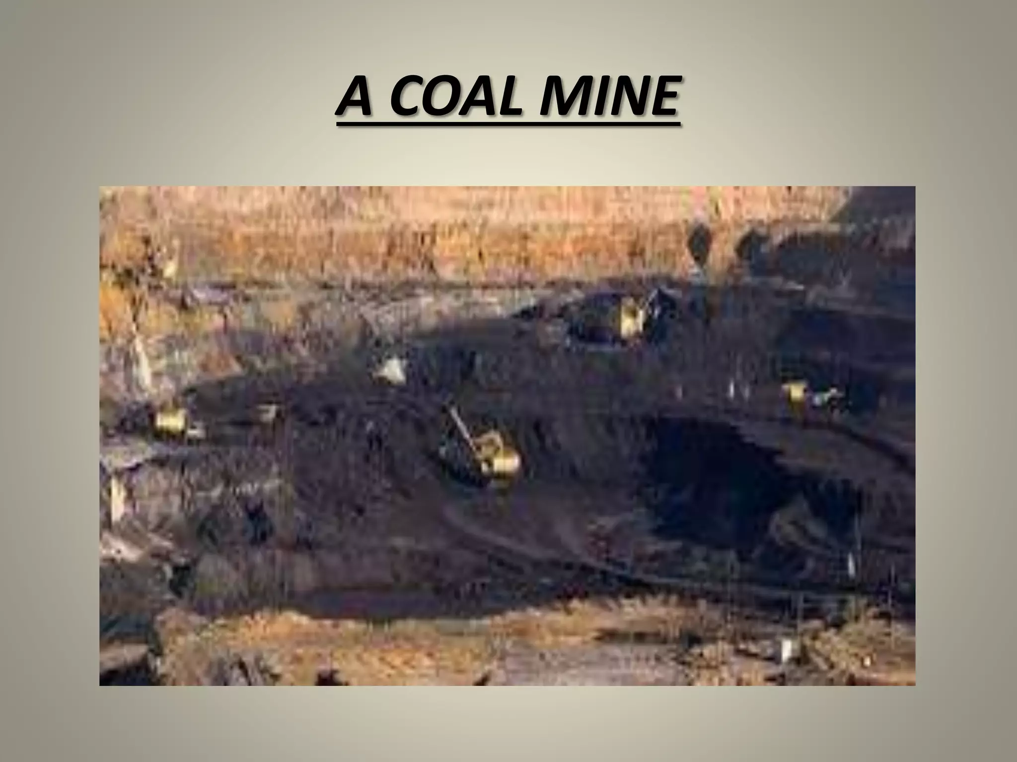 Coal And Petroleum Pptx