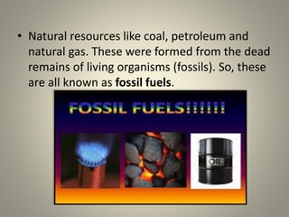 Coal and petroleum | PPTX