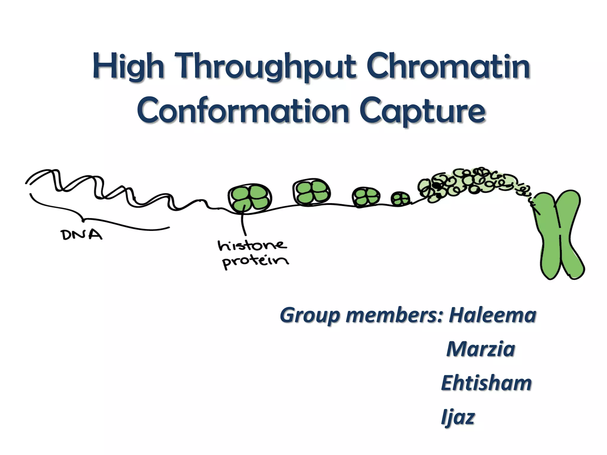 Chromatin Conformation Capture Pdf