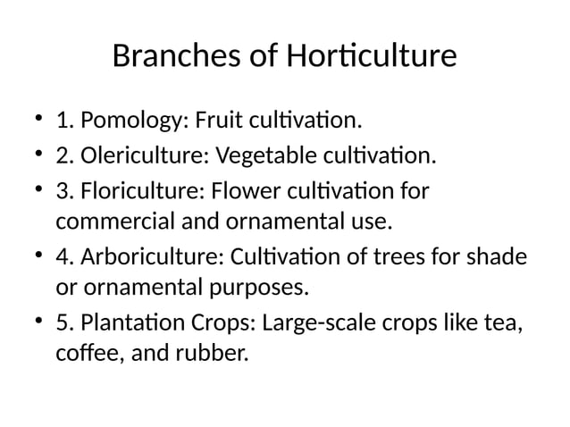 Hi-tech_Horticulture_Presentation.ppt.pptx