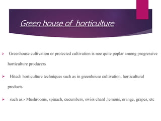Hi tech horticulture | PPTX