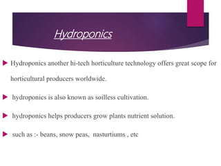 Hi tech horticulture | PPTX