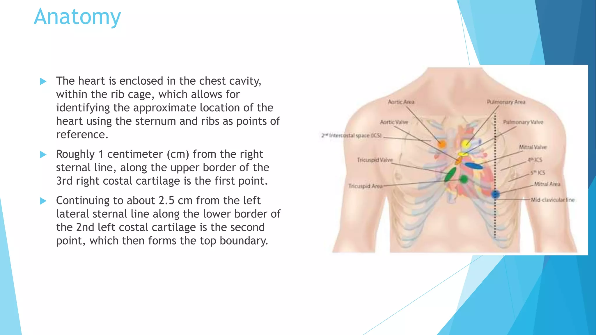 percussion of heart.pptx
