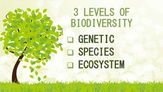 HIA BIODIVERSITY.pptx