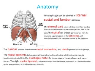 Hiatal Anatomy.pptx