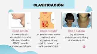 BOCIO | PDF
