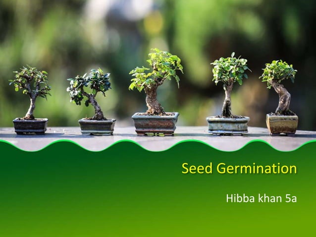 seed germination ppt | PPT