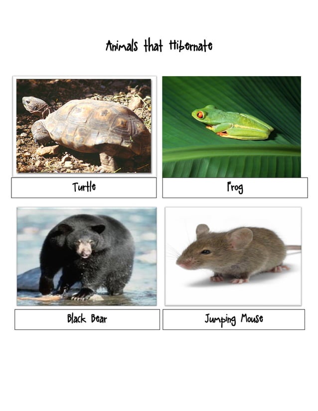 Hibernate adaptmigrategame | PDF