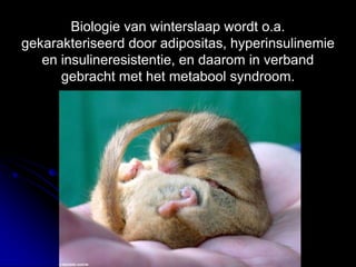 Hibernation | PPTX | Medical Health