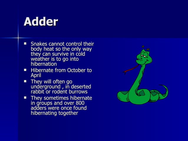 Hibernationand migration | PPT